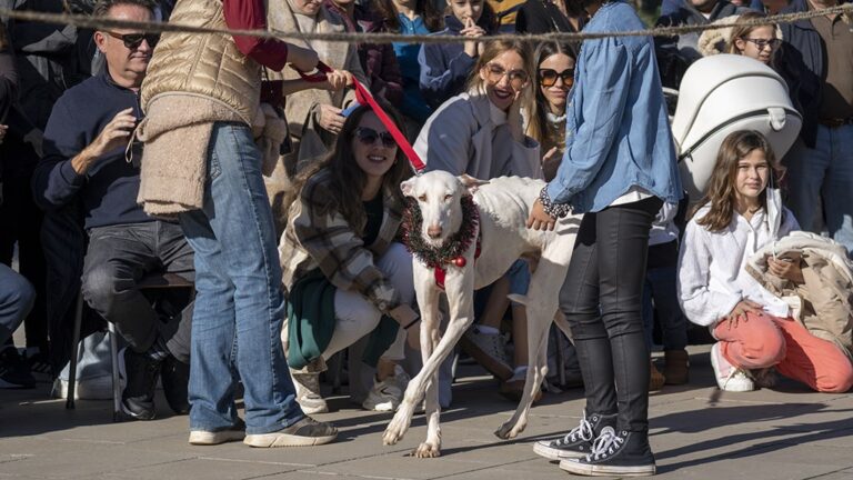 Emoción y finales felices en el 21º Desfile de perros abandonados